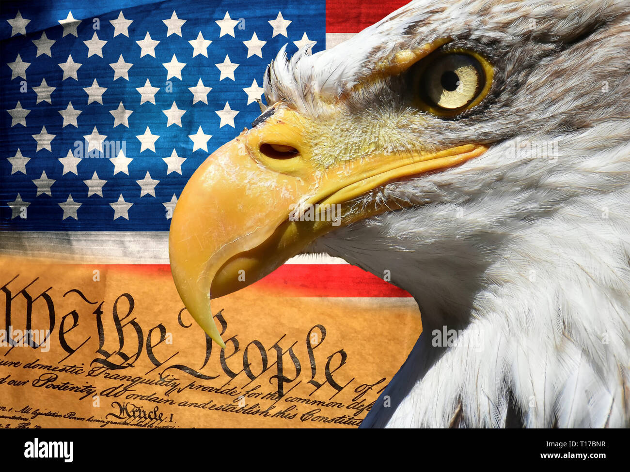 Symbols america flag bald eagle hi-res stock photography and images - Alamy