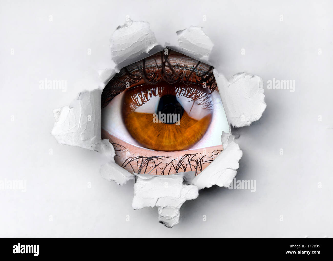 Woman Spying Hole High Resolution Stock Photography and Images - Alamy