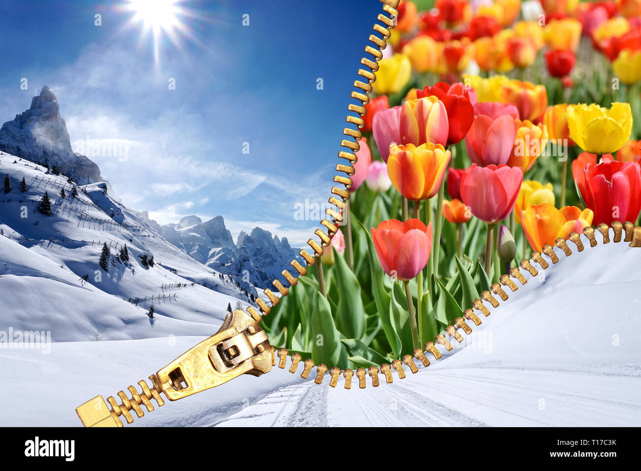 Winter Spring open Zip season transition concept. It can be used to ...