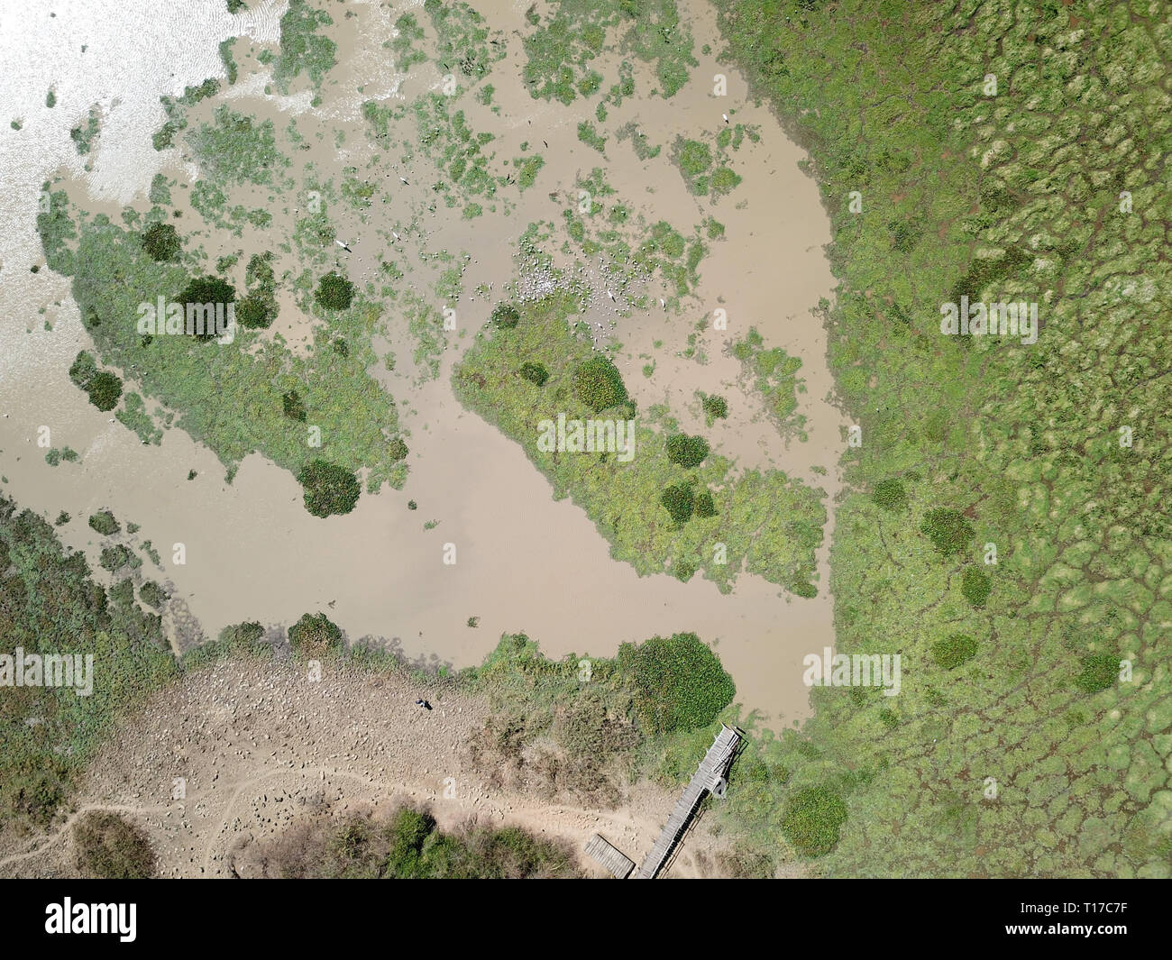 Aerial view of Las Macanas marsh reserve in the province of Herrera ...