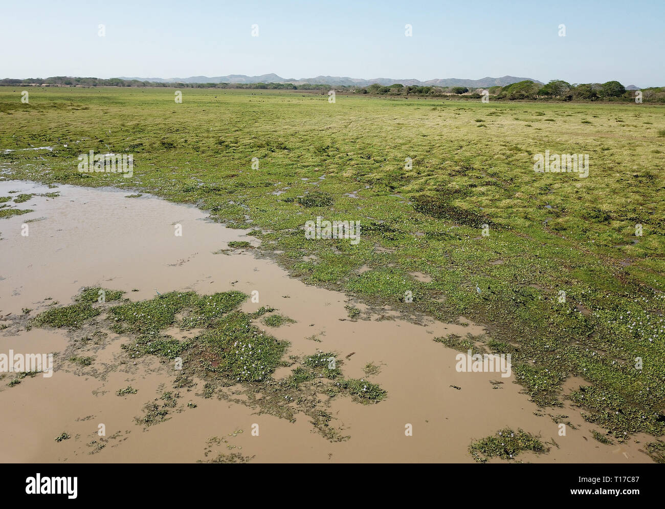 View of Las macanas marsh in Herrera, Panama Stock Photo - Alamy