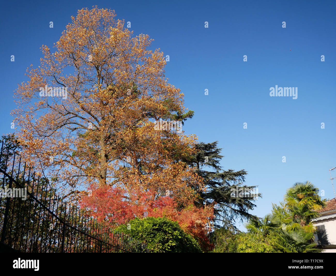 Bellagio italy autumn hi-res stock photography and images - Alamy