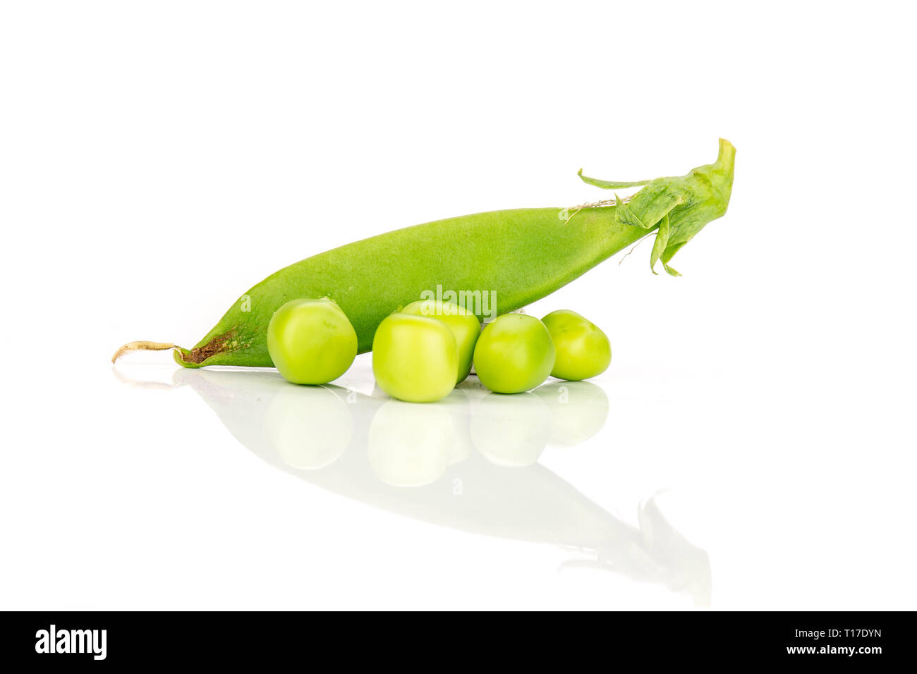 One whole green sugar snap pea pod with fresh five peas isolated on ...