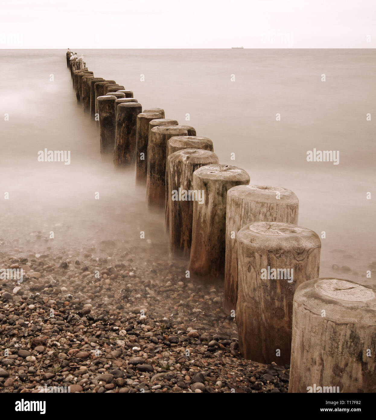 Sylt germany coastal erosion hi-res stock photography and images - Alamy