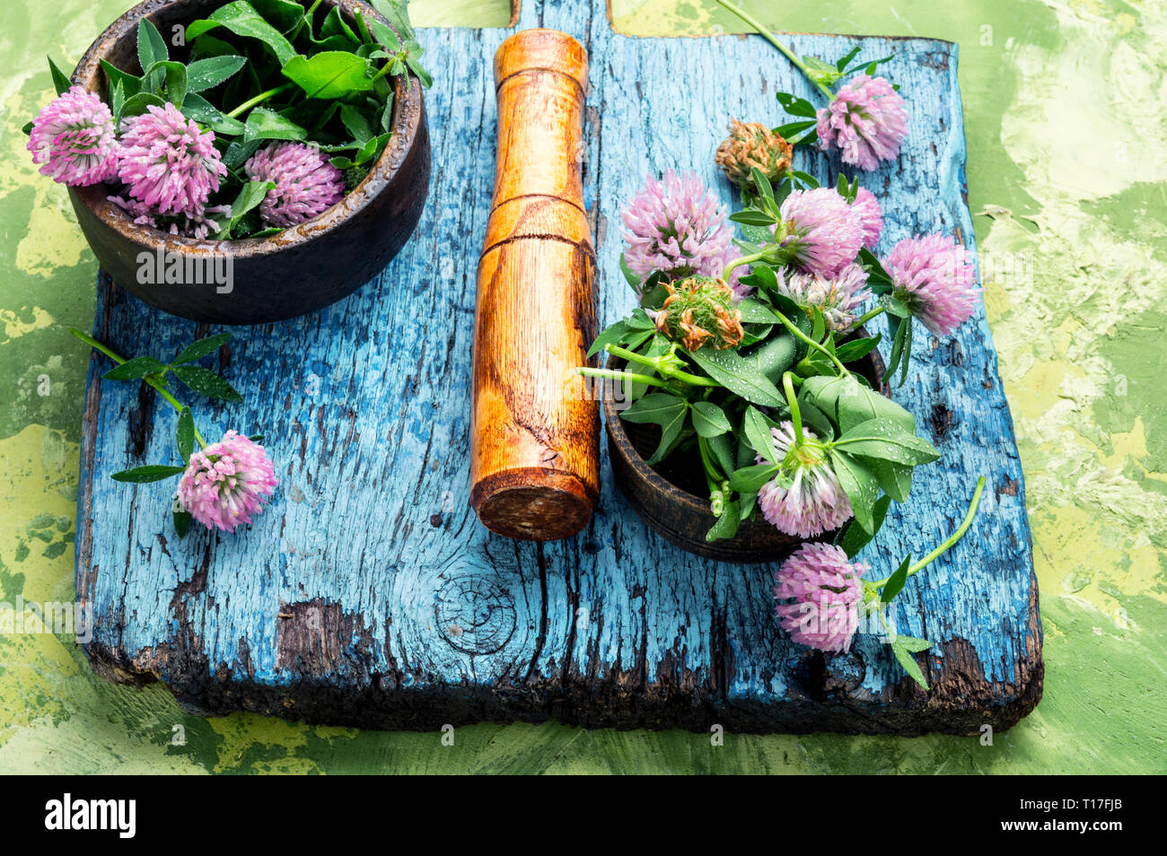 Clover or trefoil flower medicinal herbs.Healing herbs Stock Photo - Alamy