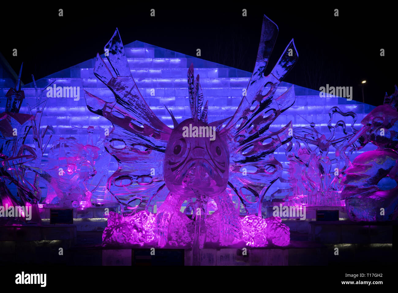 Ice lantern festival hi-res stock photography and images - Alamy