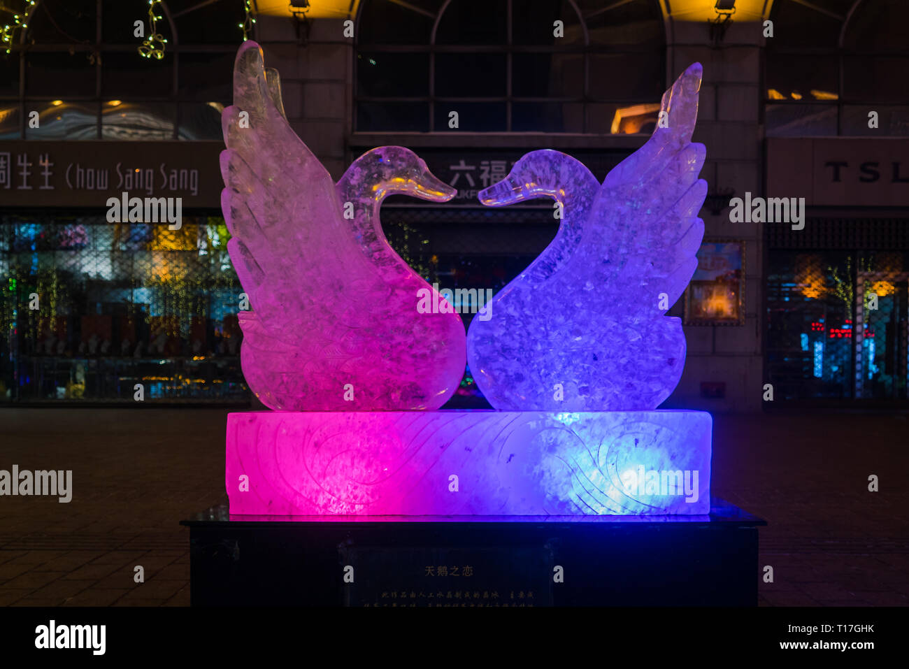 Love birds in Harbin - China Stock Photo - Alamy