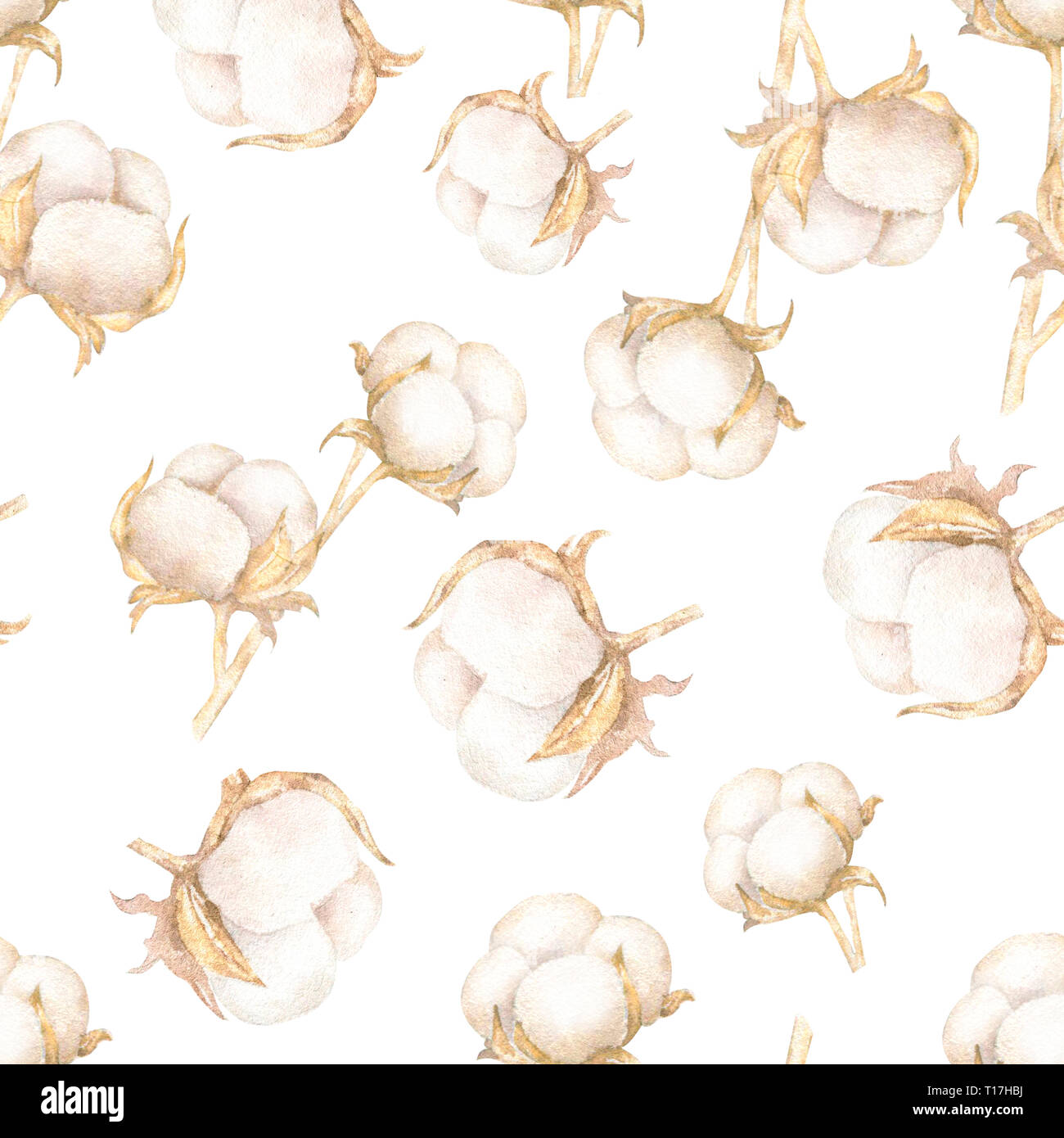 Realistic watercolor illustration of cotton isolated on white ...
