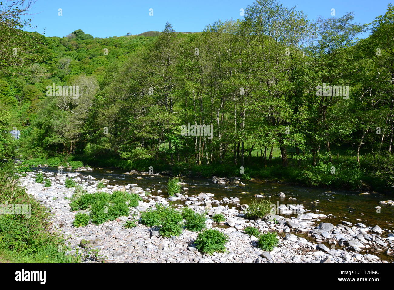 Riverside Walk between Watersmeet and Lynmouth in Devon, UK Stock Photo ...