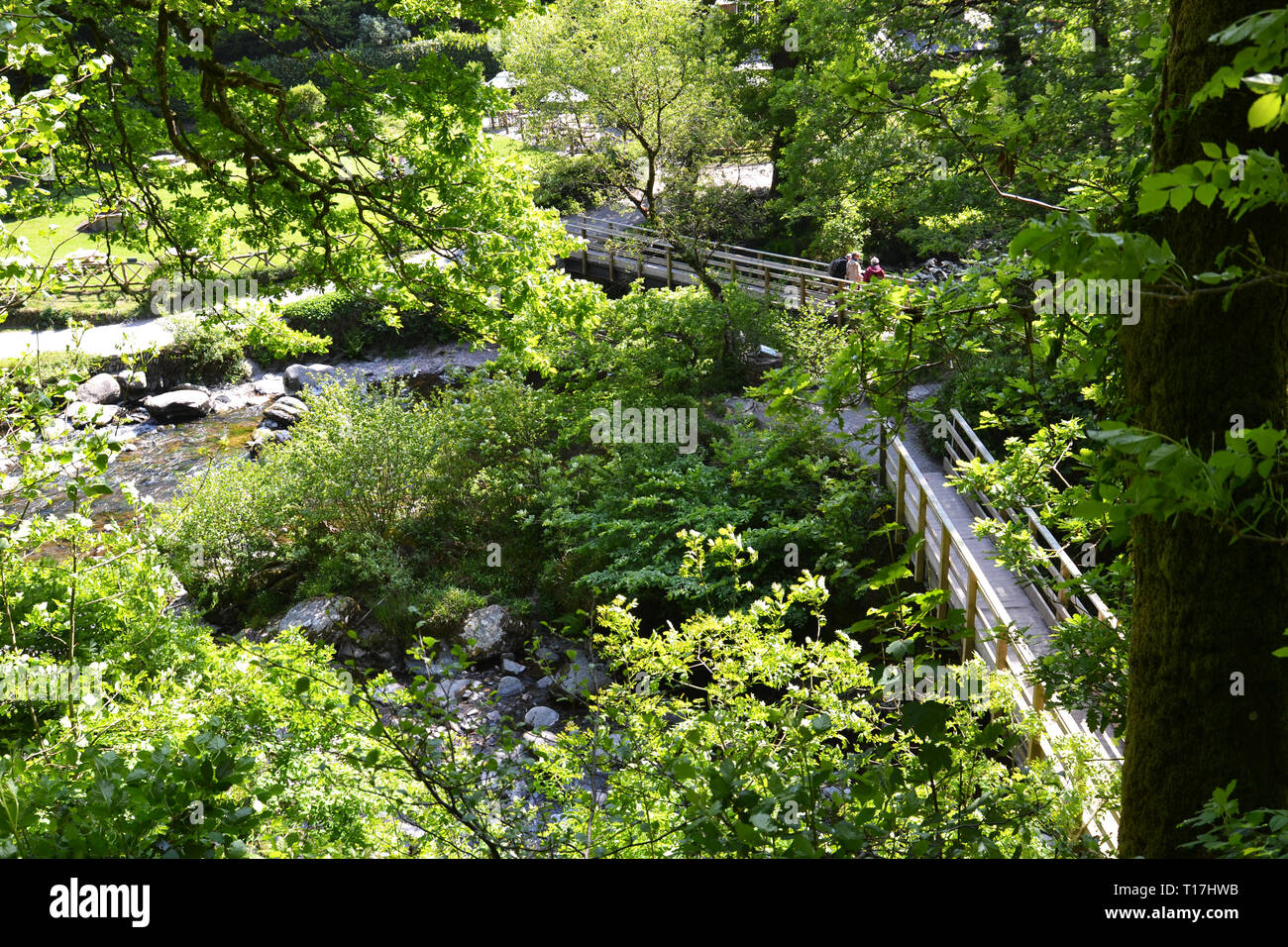 Watersmeet, Lynmouth, Devon, UK Stock Photo - Alamy