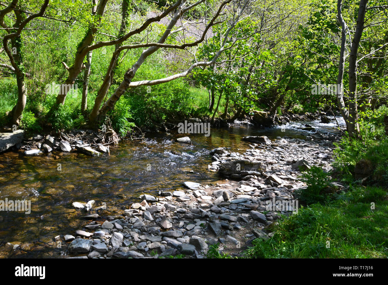 Heddon valley pebbles hi-res stock photography and images - Alamy
