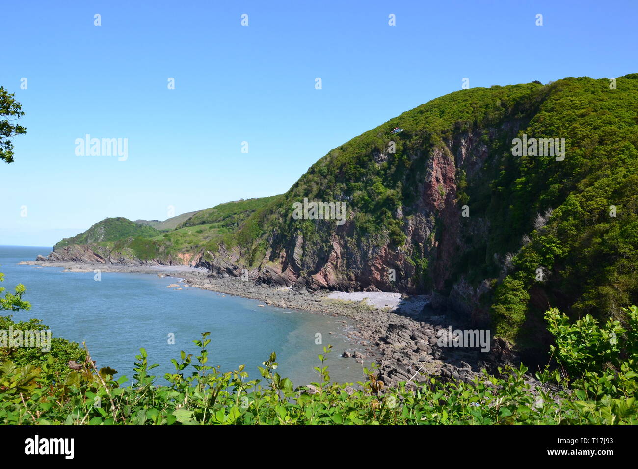 Woody greenery hi-res stock photography and images - Alamy