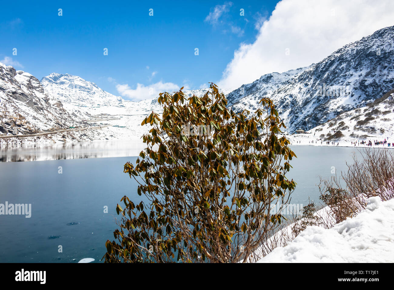 Changu lake sikkim hi-res stock photography and images - Alamy
