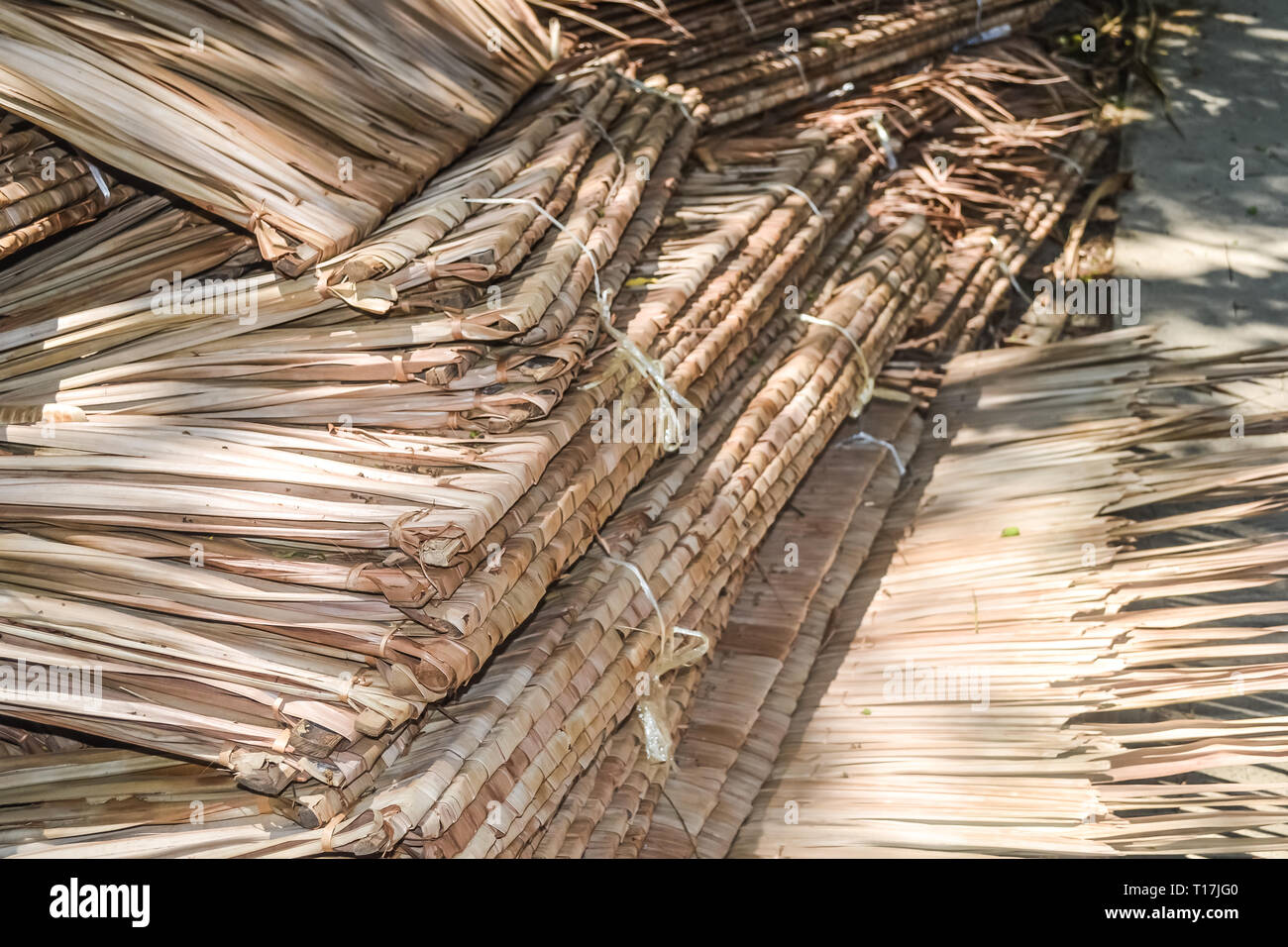 A stack of dry sago palm rooftops Stock Photo - Alamy