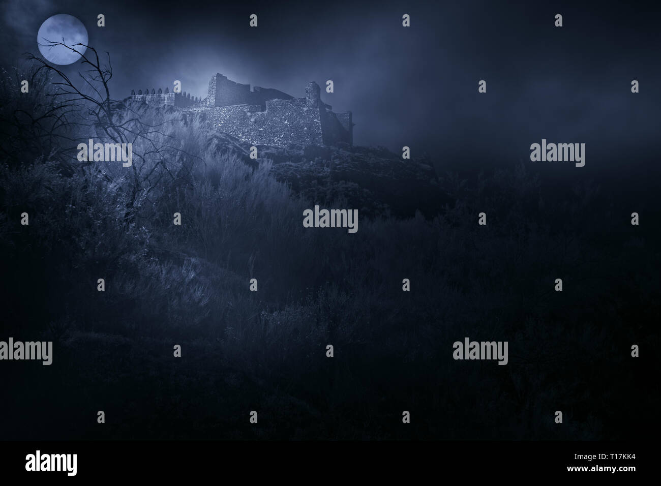 Old european castle in a foggy full moon night Stock Photo - Alamy