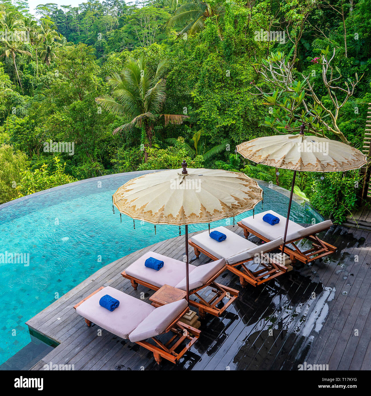 View of the swimming pool water and sunbeds in the tropical jungle in ...