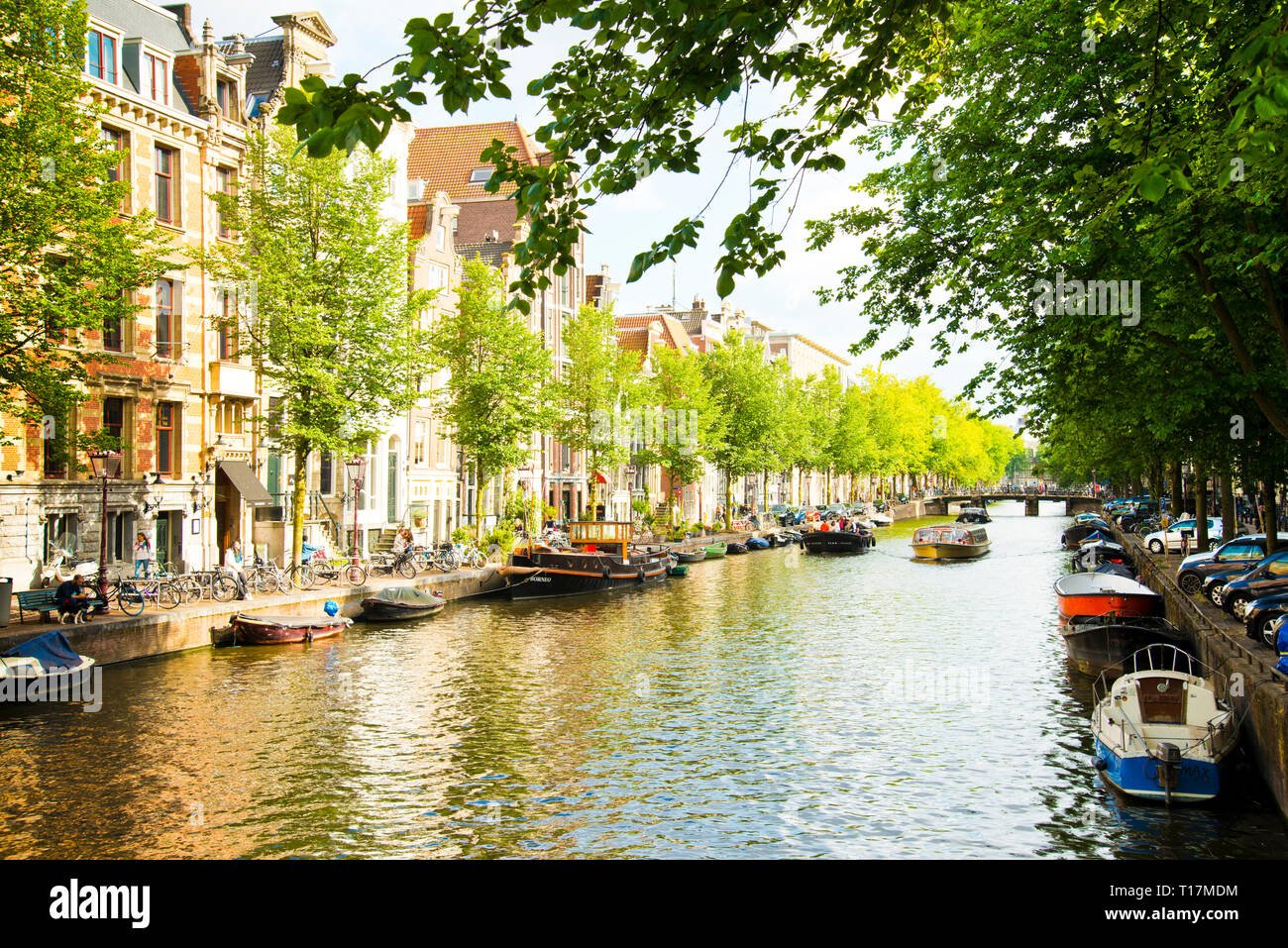 canal lifestyle, inner city, tree lined embankment, people relaxing by ...