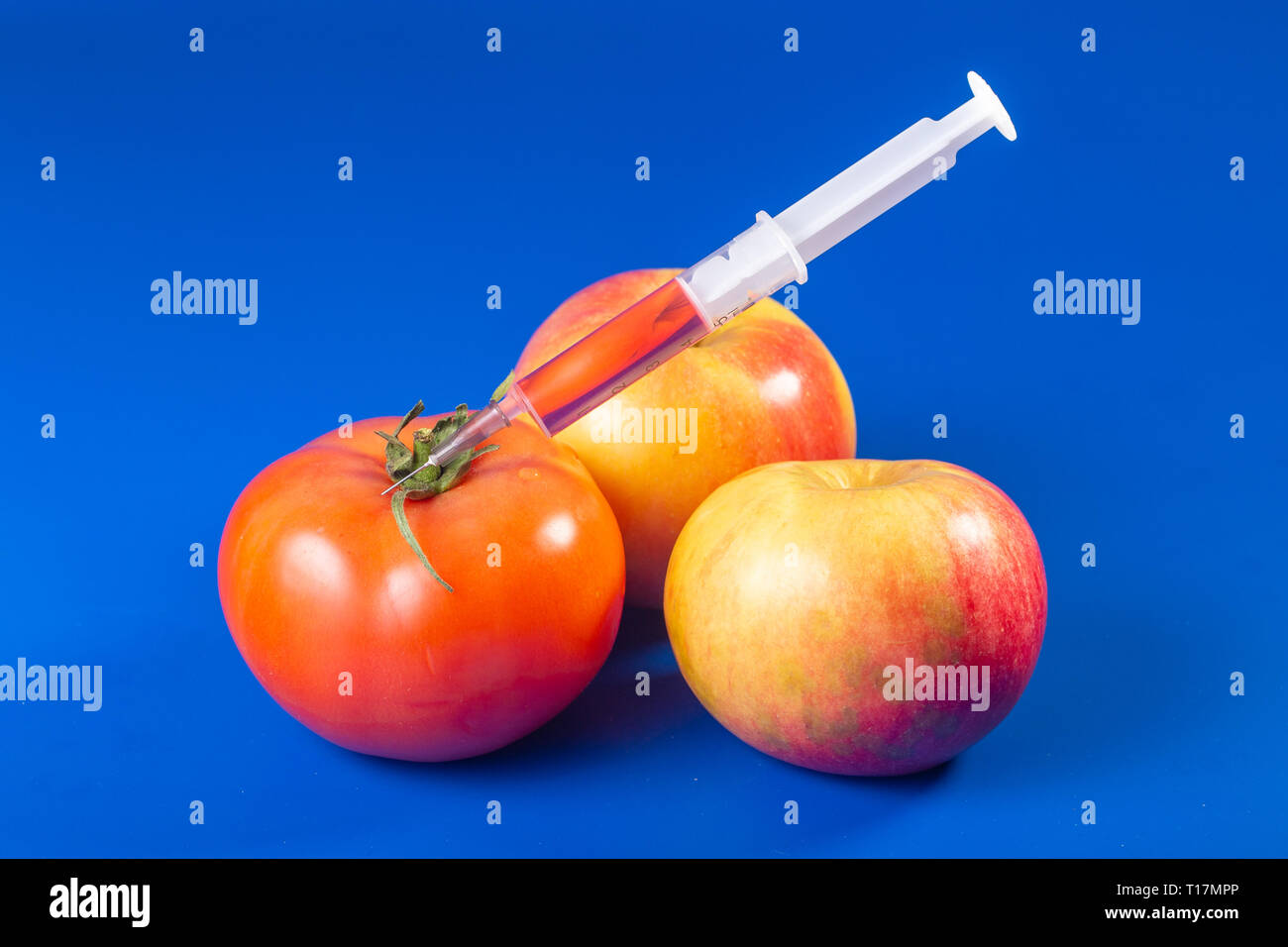 Genetically Modified Food Tomatoes