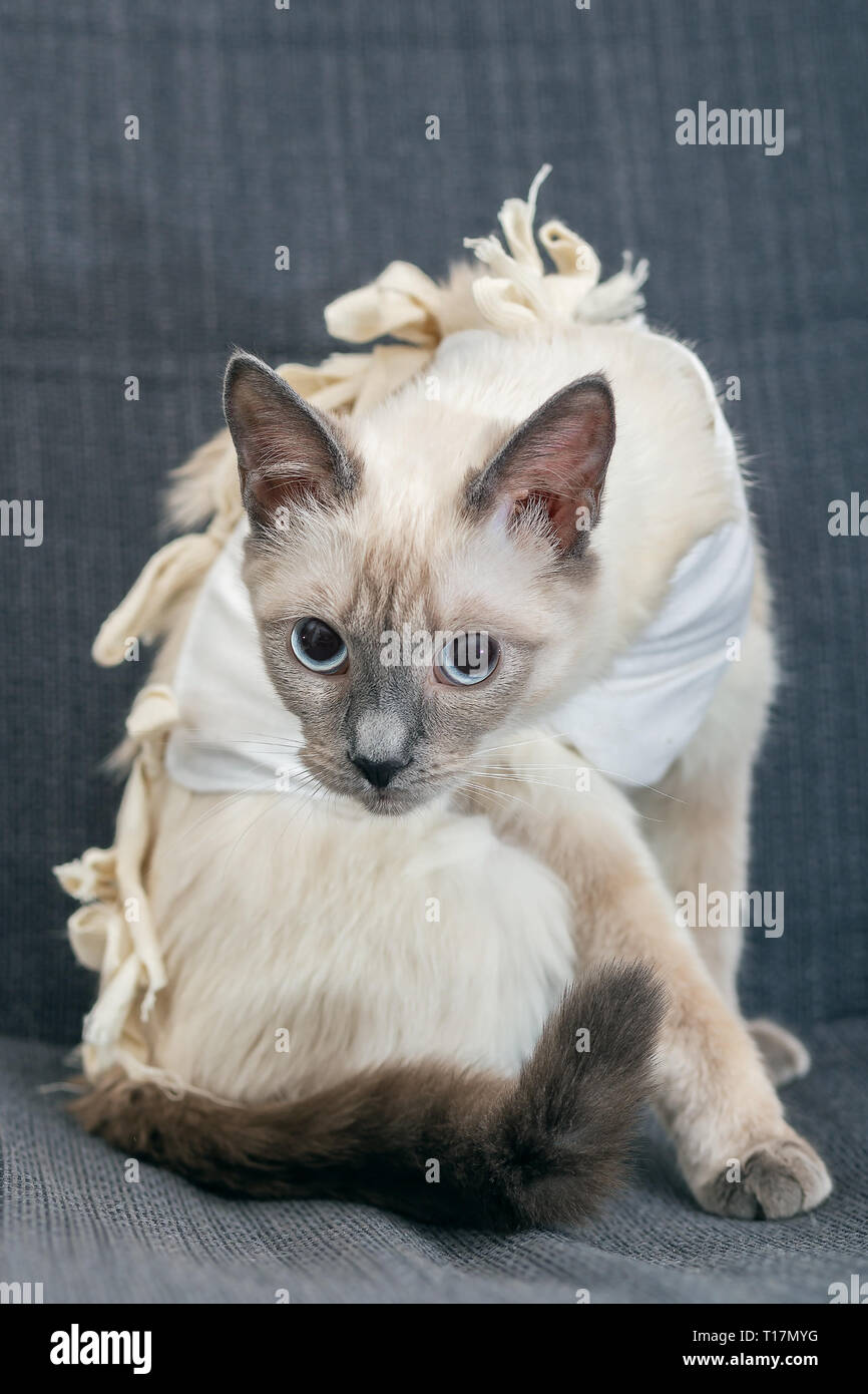 Postoperative blanket hi-res stock photography and images - Alamy