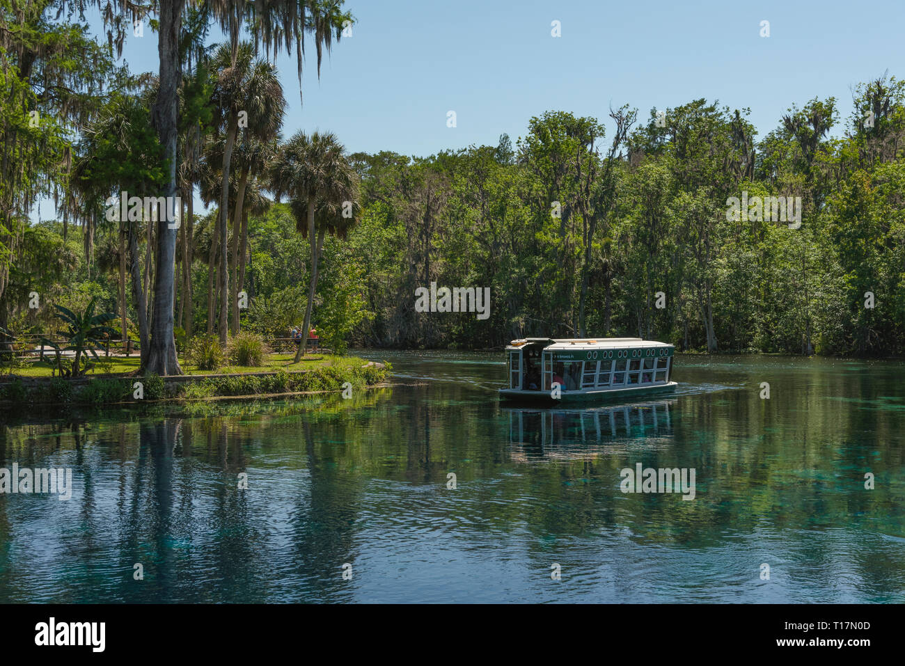 Silver Springs Florida Glass bottom boats Stock Photo - Alamy