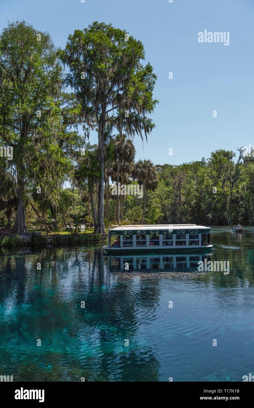 Glass Bottom Boat Florida Springs at Beulah Insley blog