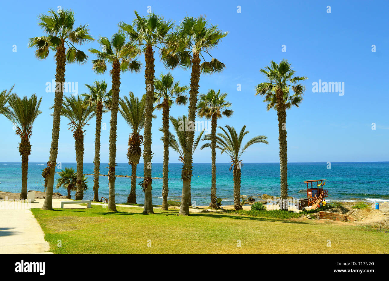 Cyprus lawn hi-res stock photography and images - Alamy