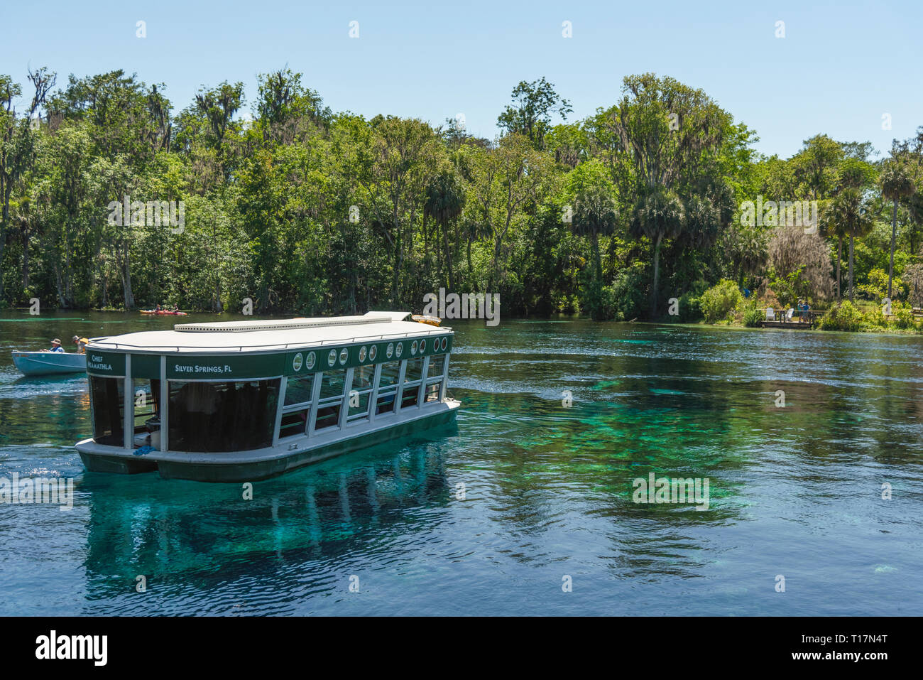 Silver Springs Florida Glass bottom boats Stock Photo - Alamy