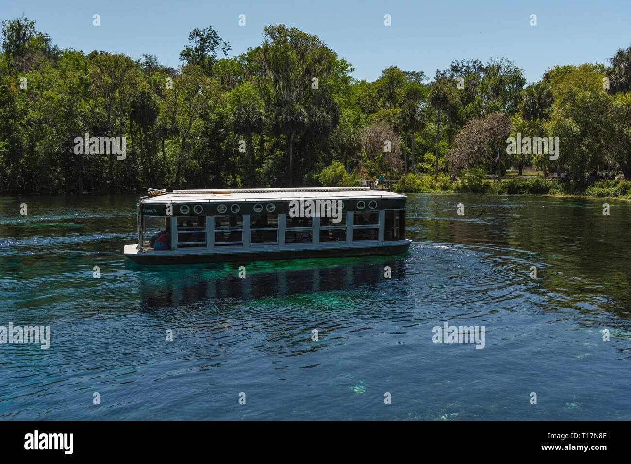 Silver Springs Florida Glass bottom boats Stock Photo - Alamy