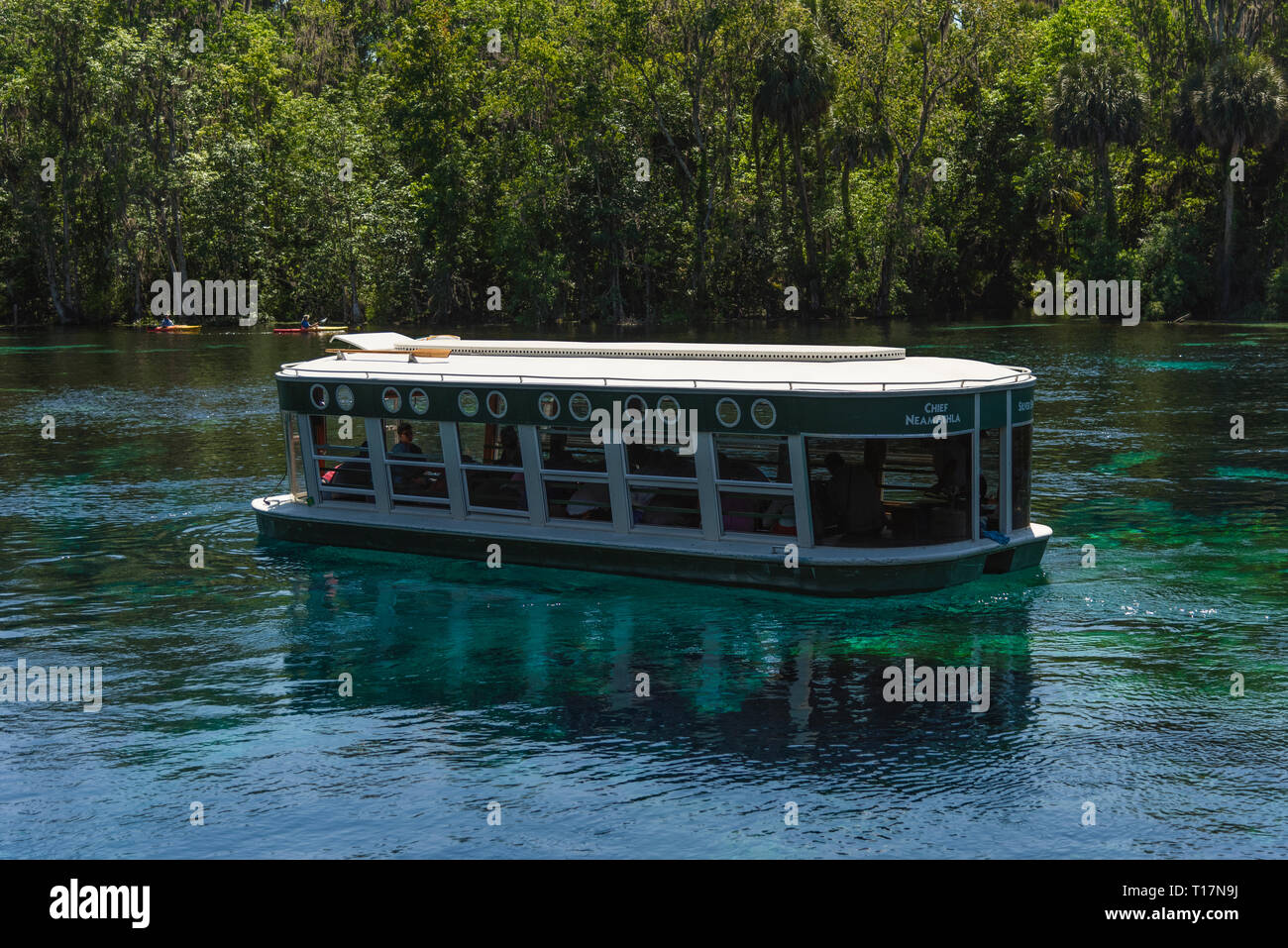 Silver Springs Florida Glass bottom boats Stock Photo - Alamy