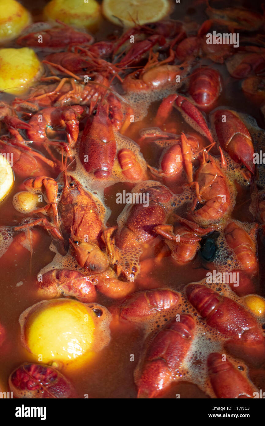 Crawfish boil hi-res stock photography and images - Alamy