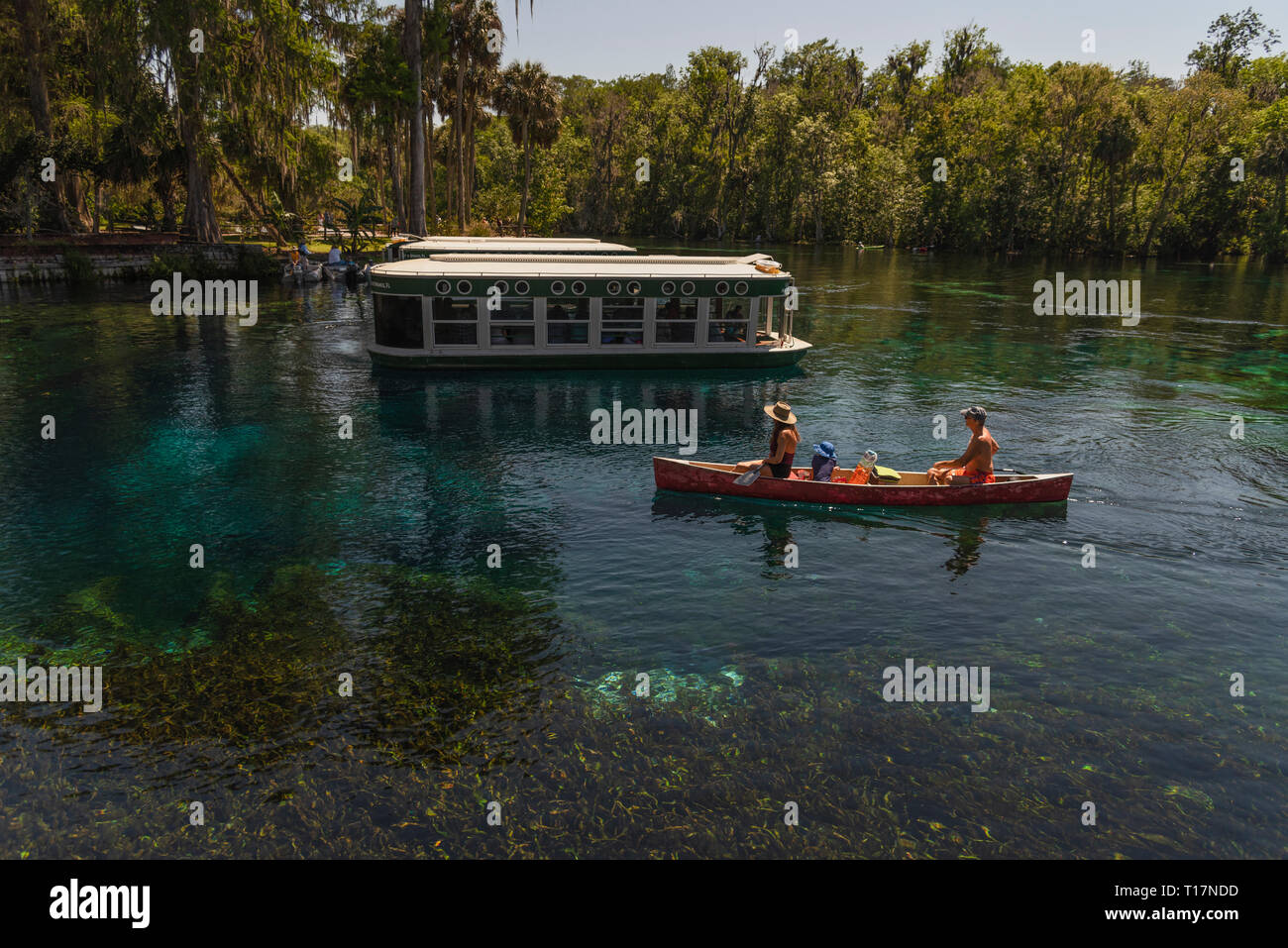 Silver springs hi-res stock photography and images - Alamy