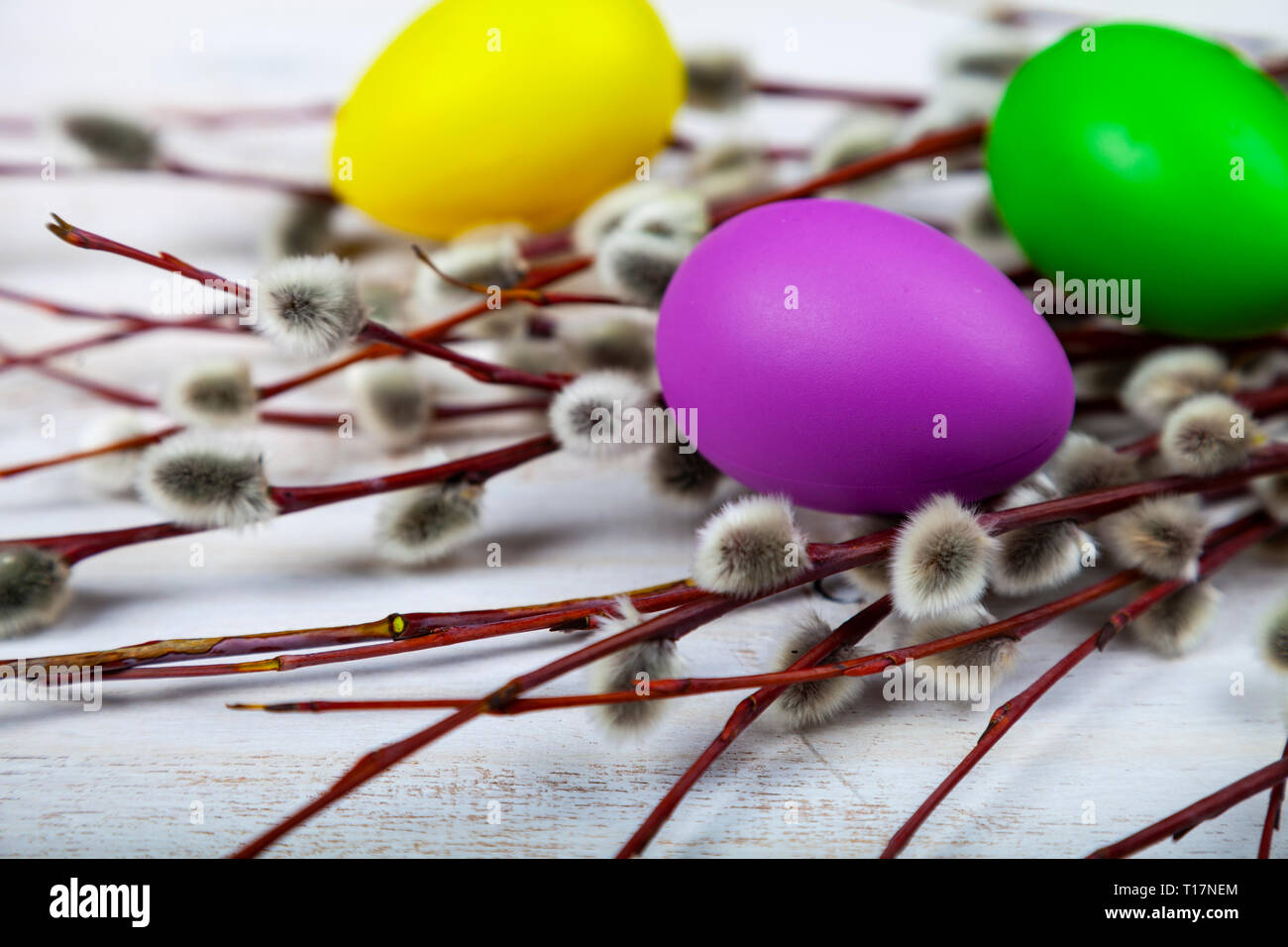 Easter still life with Easter eggs and willow. Easter greeting card ...