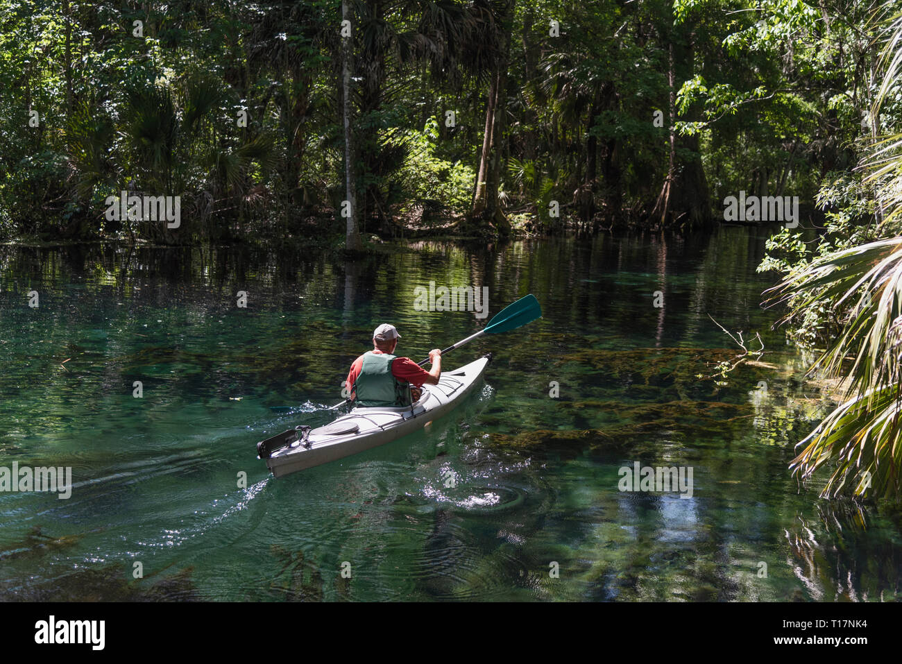 Kayaking Silver Springs River Ocala, Florida USA Stock Photo - Alamy