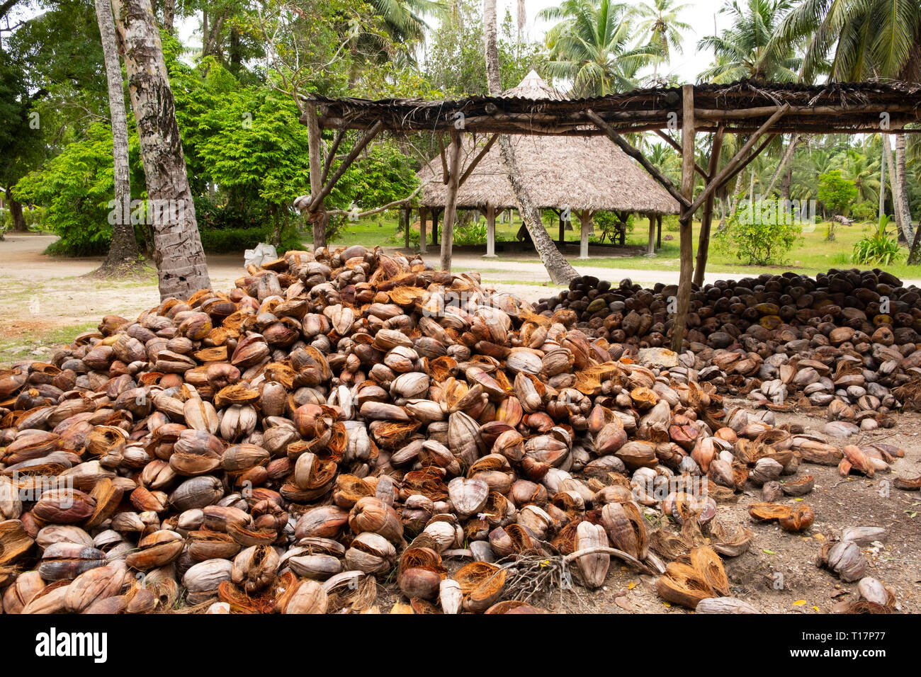 Coconut shells hi-res stock photography and images - Alamy