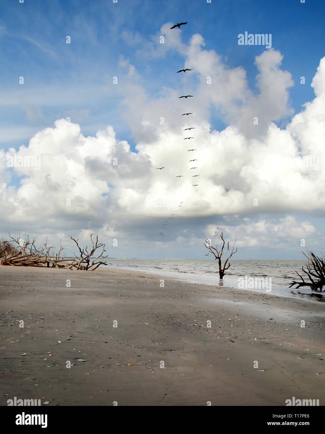Botany Bay Plantation Heritage Preserve High Resolution Stock ...