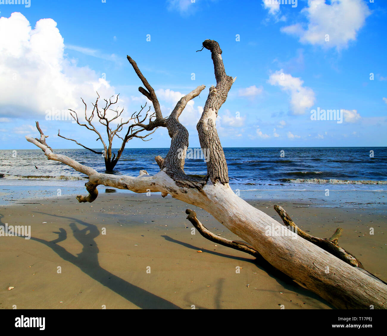 Botany bay plantation heritage preserve hi-res stock photography and ...