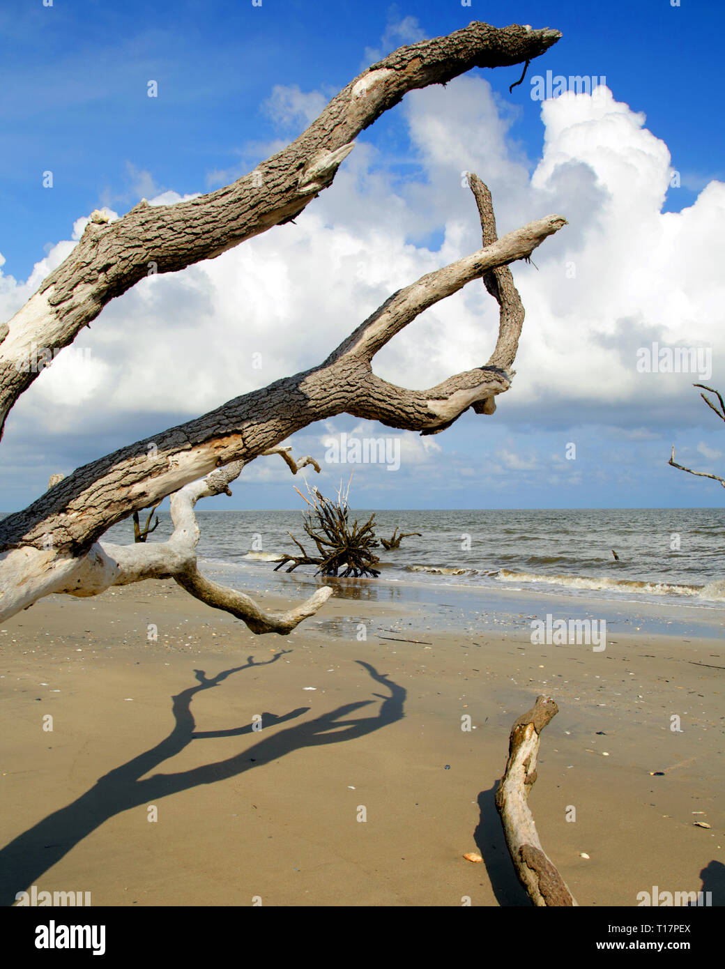 Botany bay plantation heritage preserve hi-res stock photography and ...