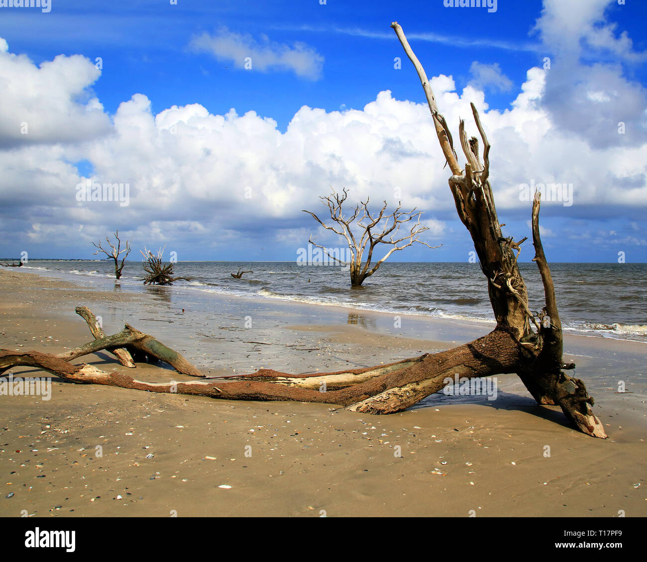 Botany bay plantation heritage preserve hi-res stock photography and ...