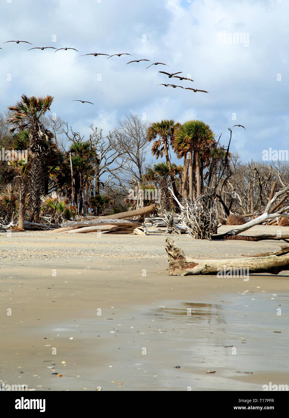 Botany bay plantation heritage preserve hi-res stock photography and ...