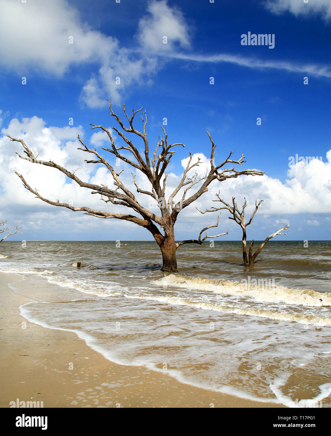 Botany bay plantation heritage preserve hi-res stock photography and ...