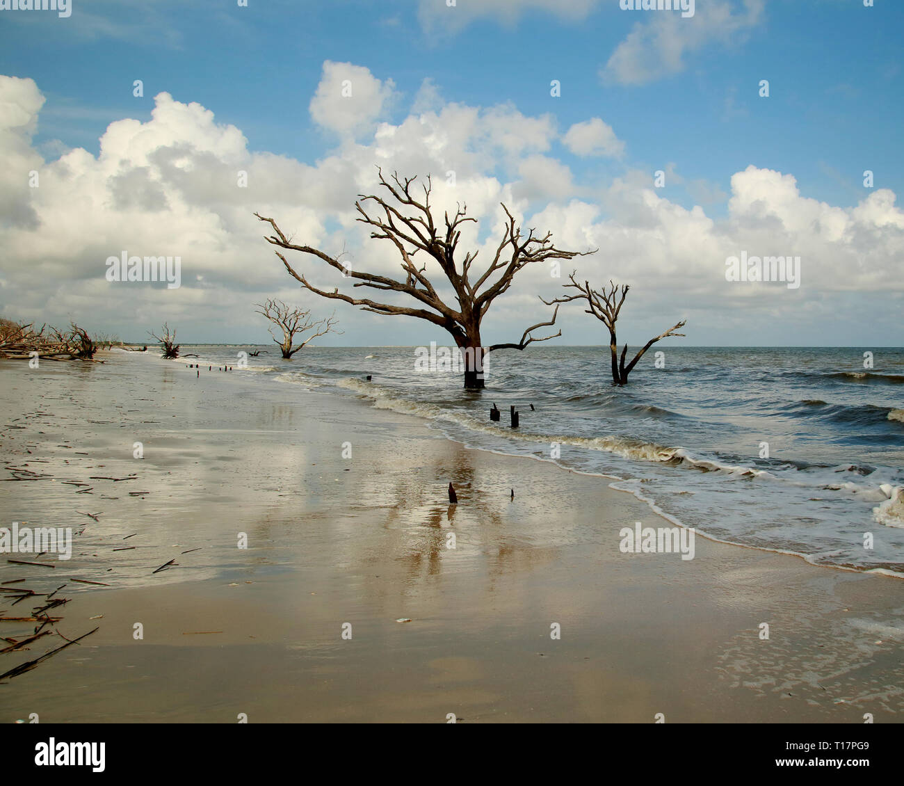 Botany bay plantation heritage preserve hi-res stock photography and ...