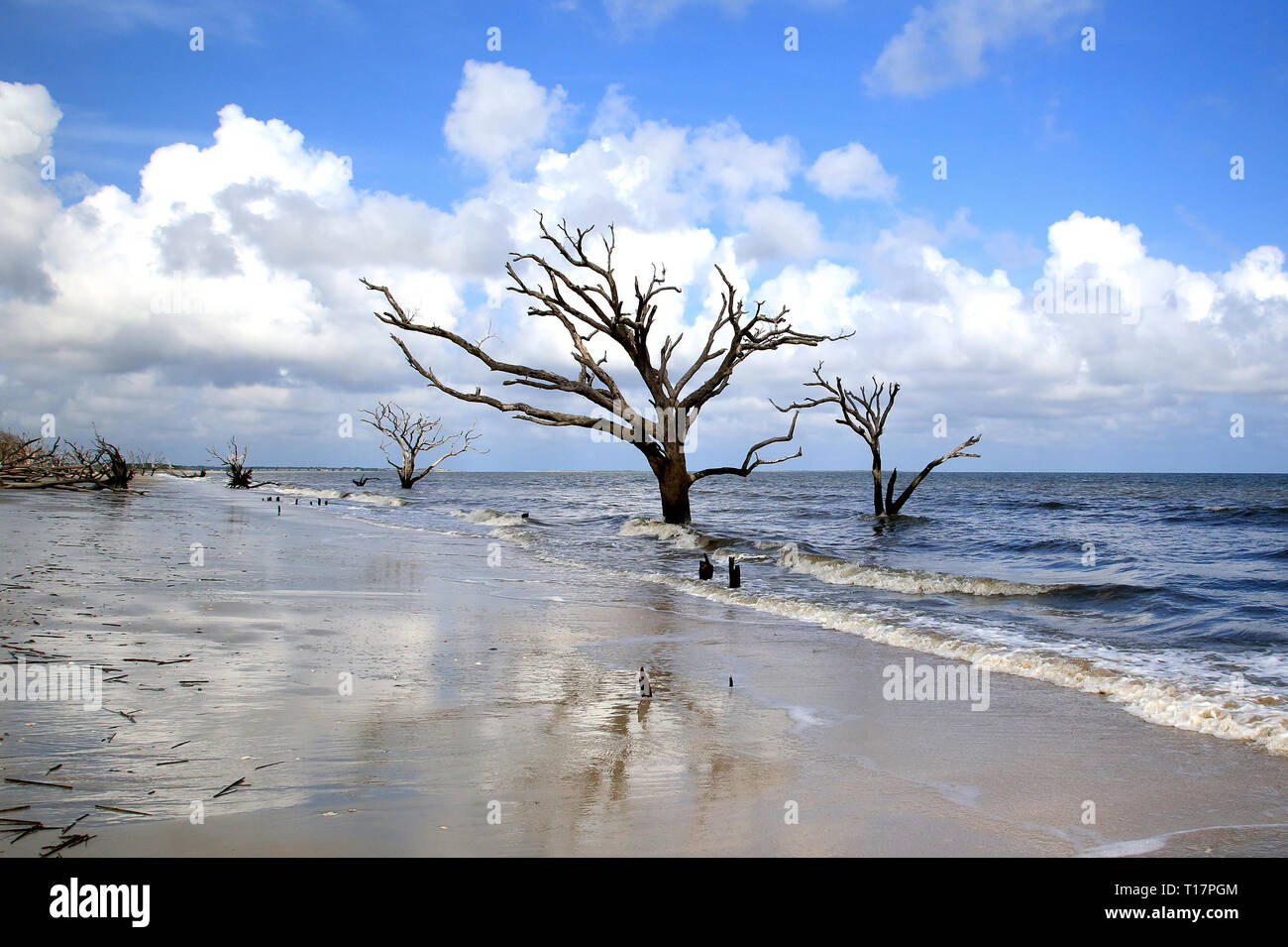 Botany Bay Plantation Heritage Preserve High Resolution Stock ...