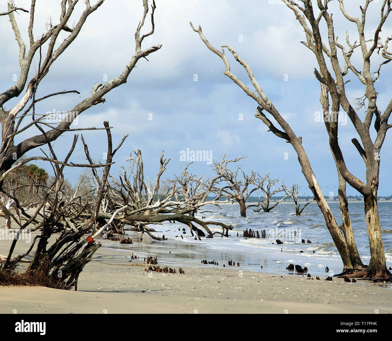 Botany Bay Plantation Heritage Preserve High Resolution Stock ...