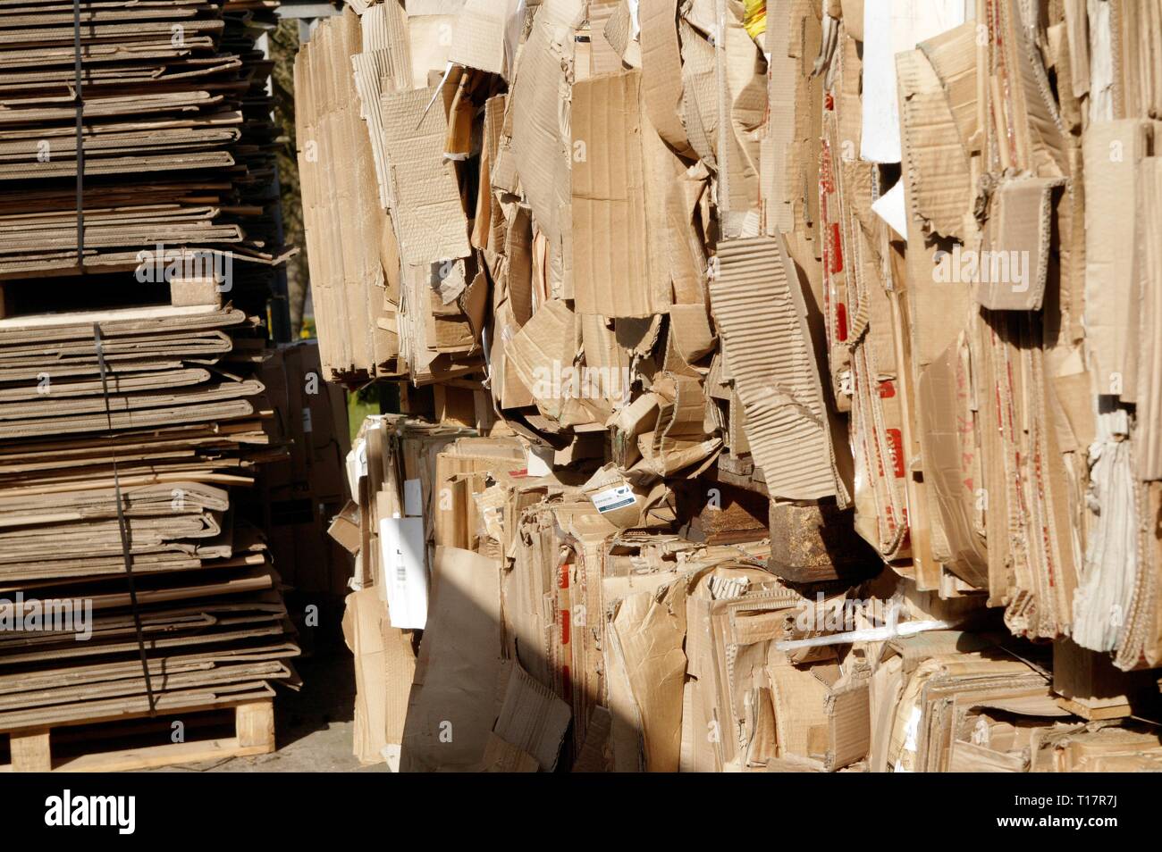 Recycled Cardboard Bales Stock Photo - Alamy