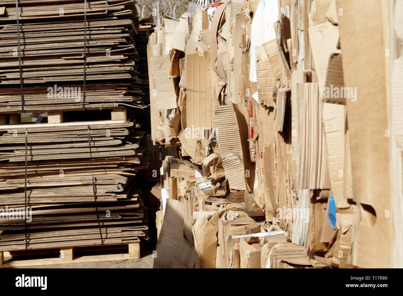 Recycled Cardboard Bales Stock Photo - Alamy