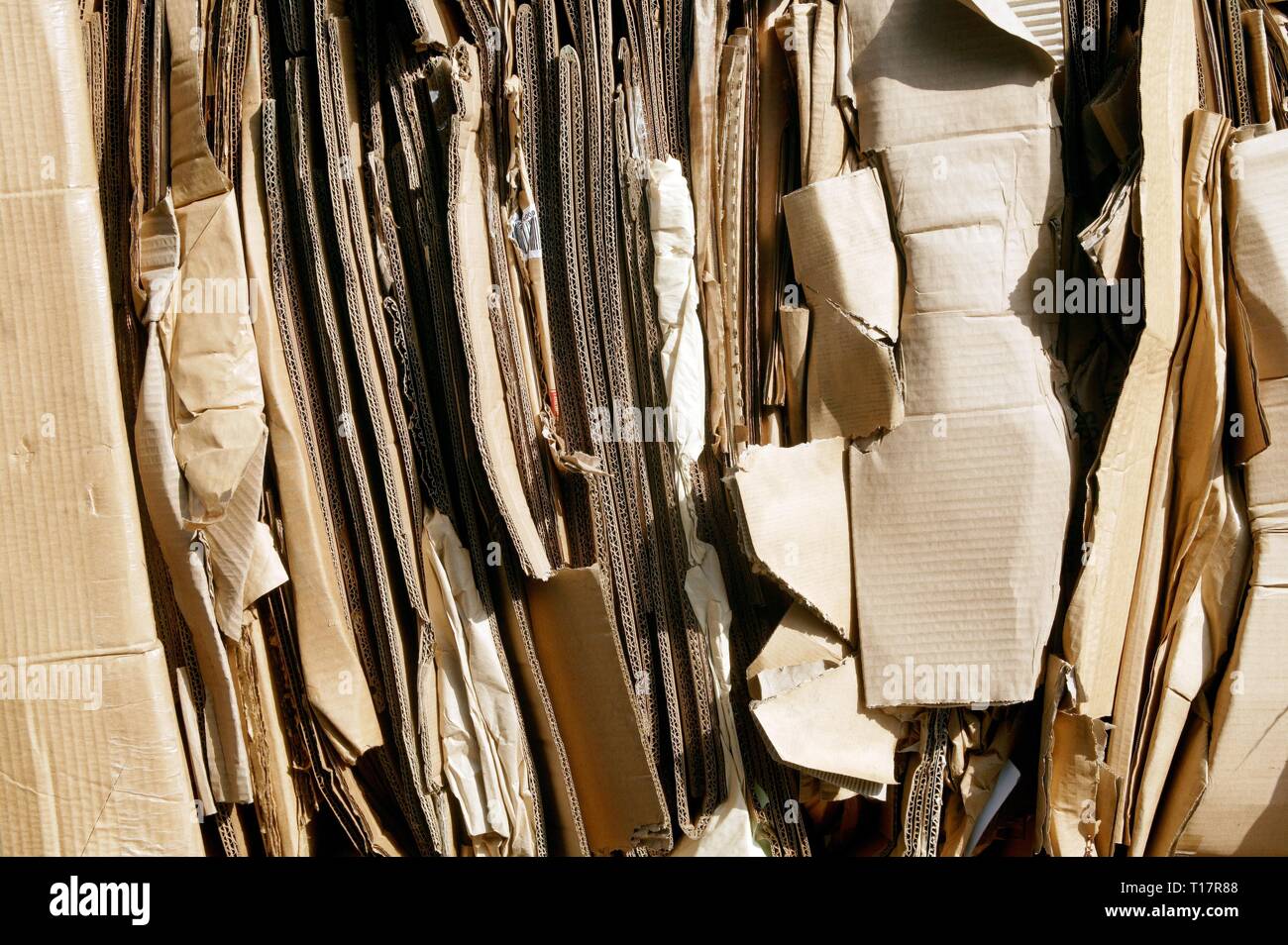 Recycled Cardboard Bales Stock Photo - Alamy