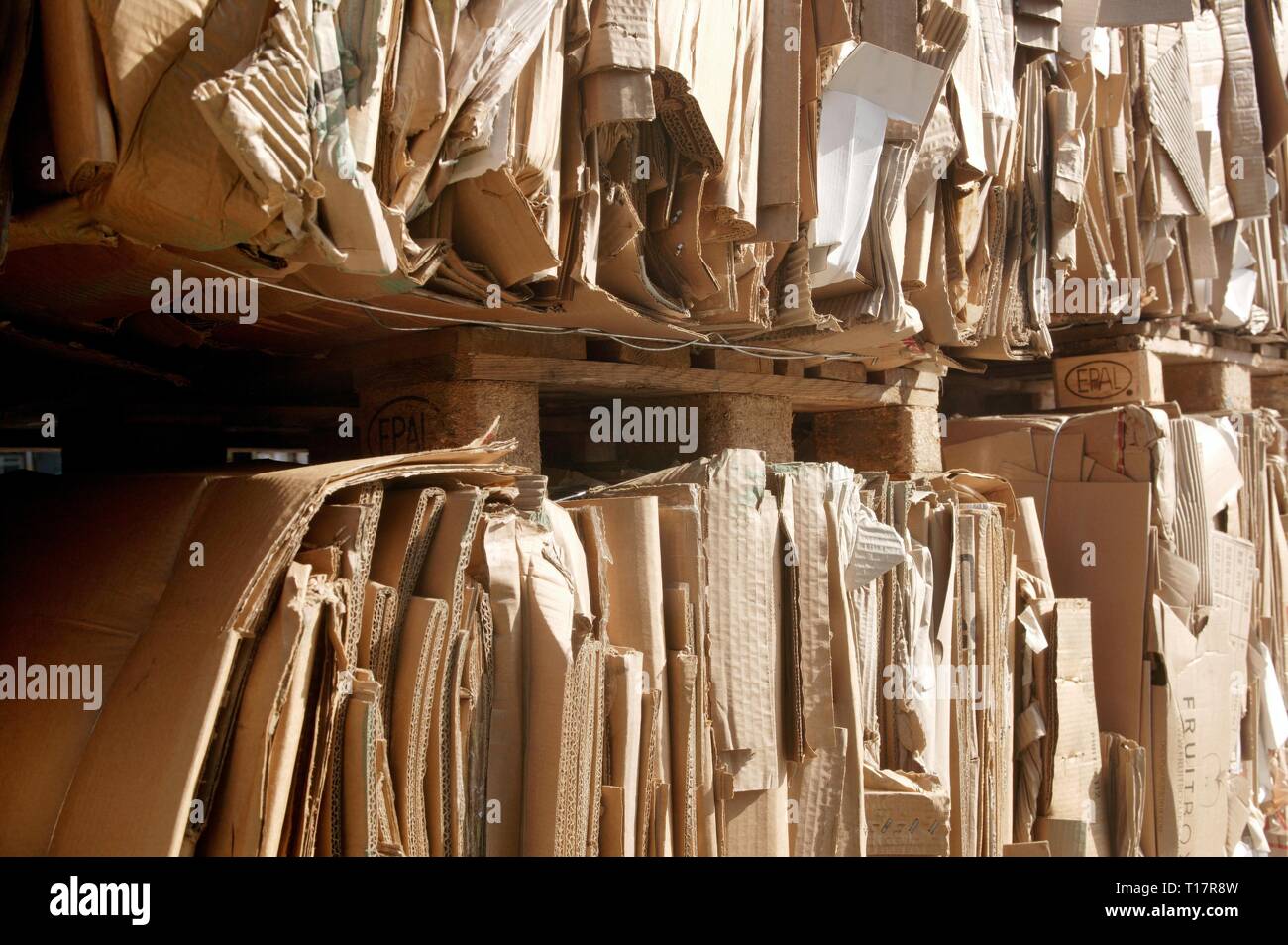 Recycled Cardboard Bales Stock Photo - Alamy