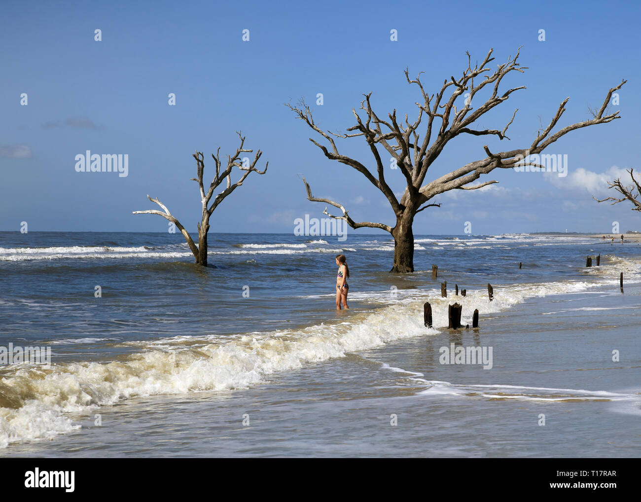 botany bay beach Edisto island south carolina Stock Photo - Alamy