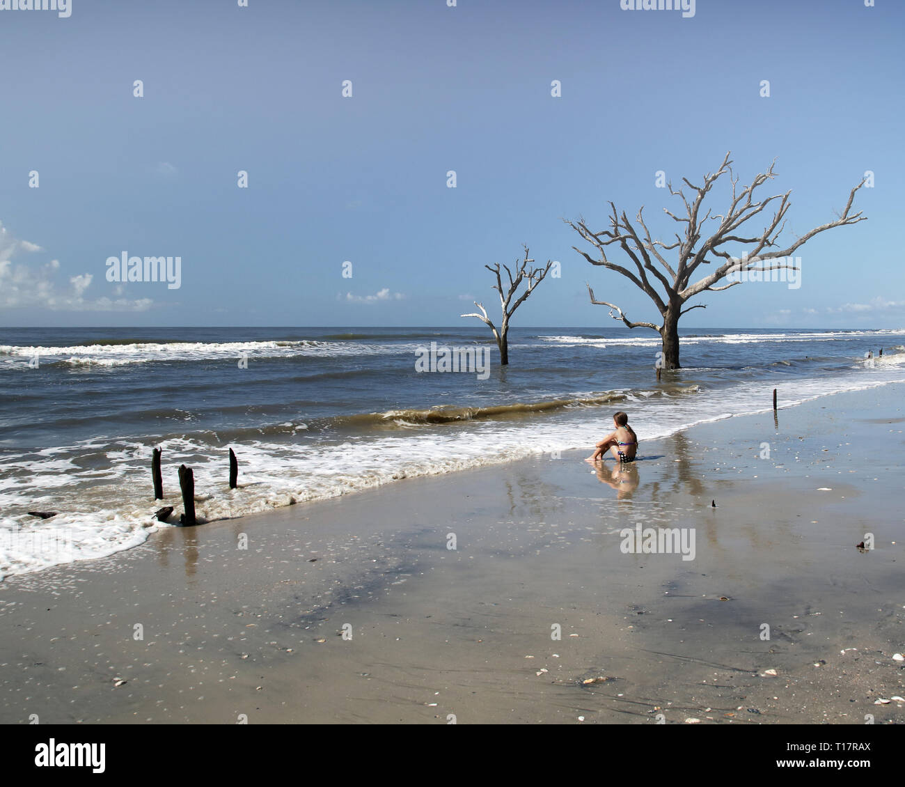 botany bay beach Edisto island south carolina Stock Photo - Alamy