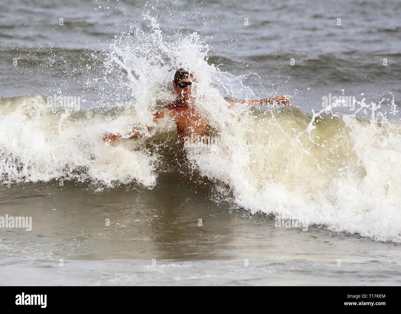botany bay beach Edisto island south carolina Stock Photo - Alamy
